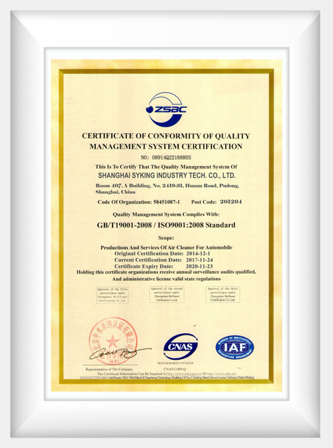 Company Profile - SYKING